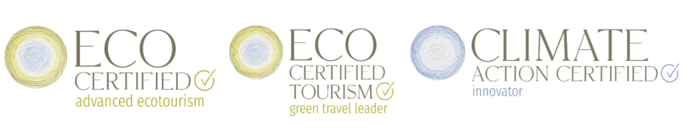 Explore Ancient Tropical Rainforest | Skyrail